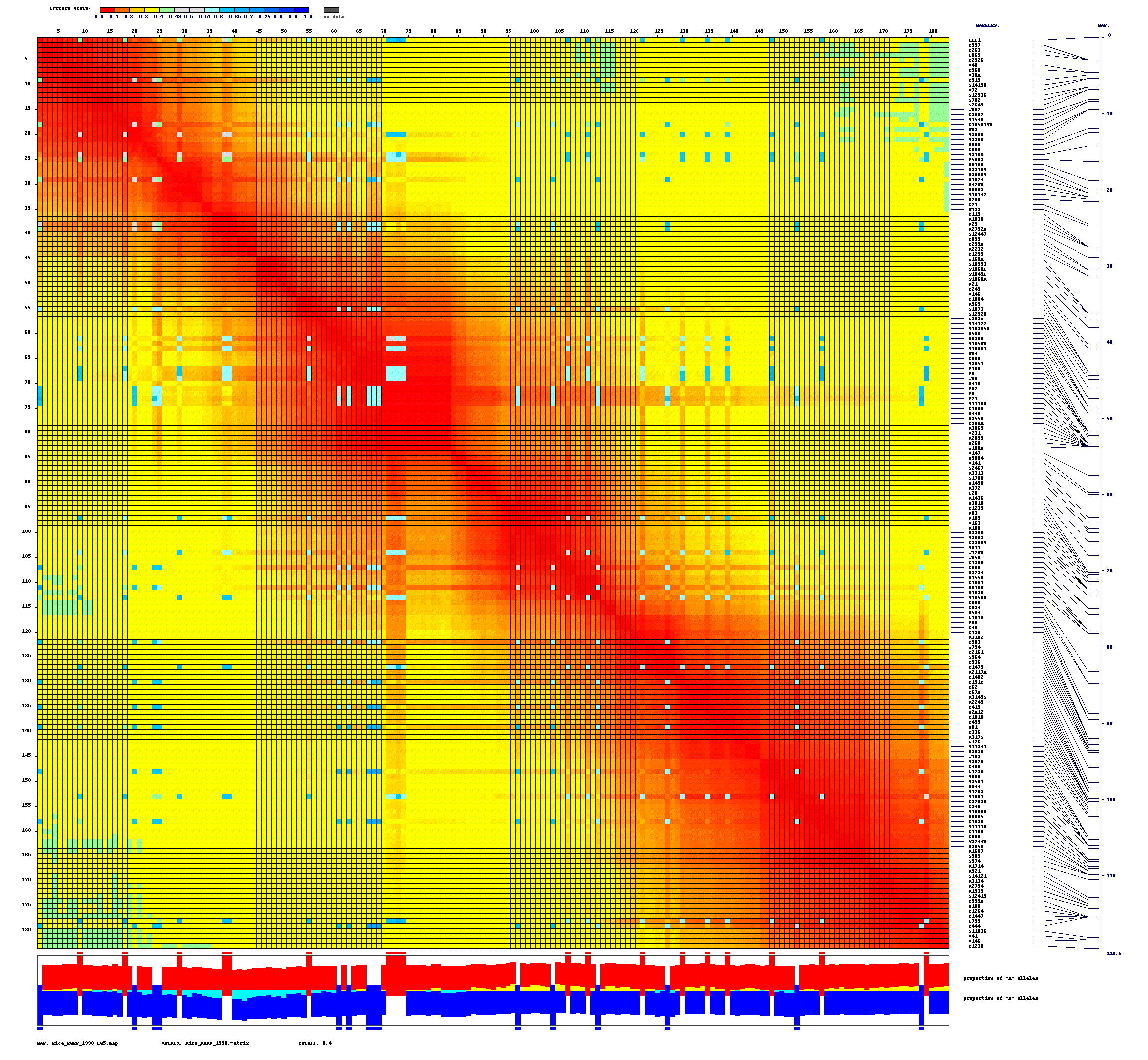 Rice Genetic Map